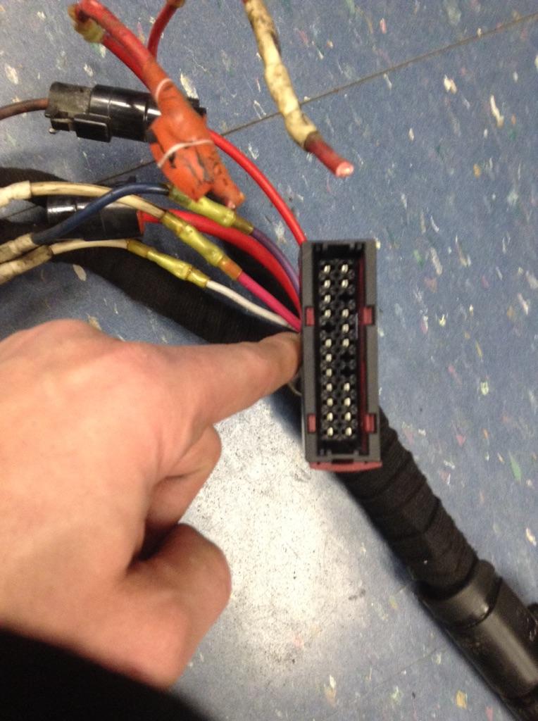 3598805C91, 3589719C1 INTERNATIONAL VT365 (6.0L) WIRING HARNESS ENGINE ...