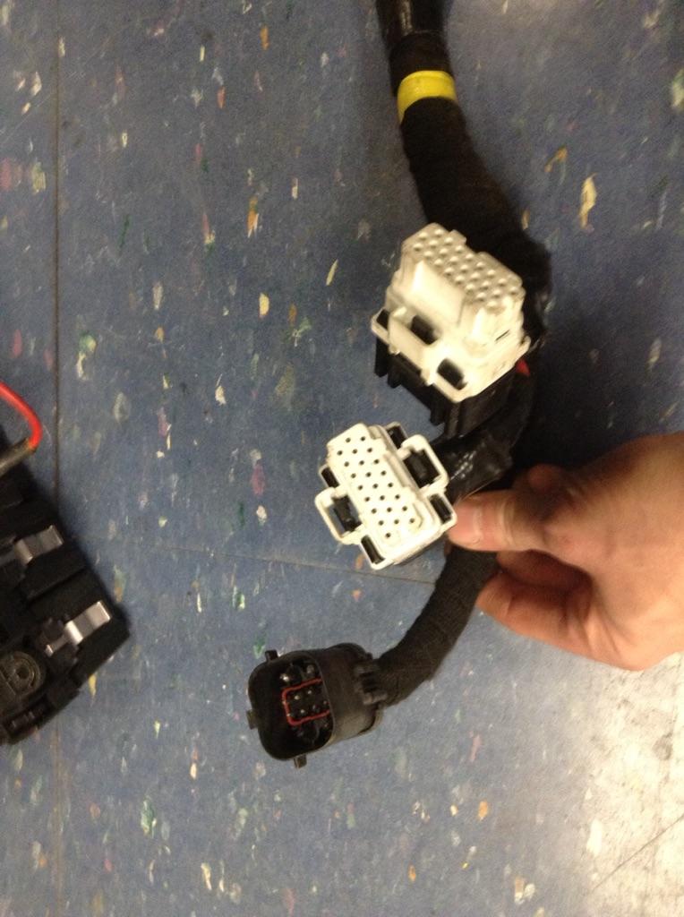 3598805C91, 3589719C1 INTERNATIONAL VT365 (6.0L) WIRING HARNESS ENGINE ...